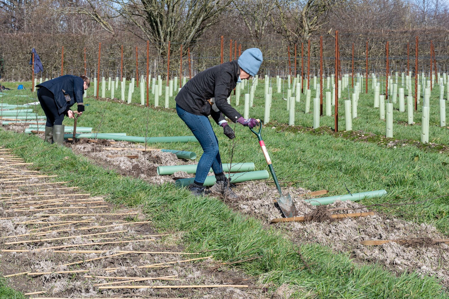 Negative emissions: Scientists debate role of CO2 removal in tackling ...
