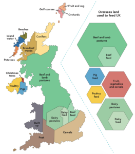 Q&A: The state of the UK’s ‘food security’ in a fast-warming world ...