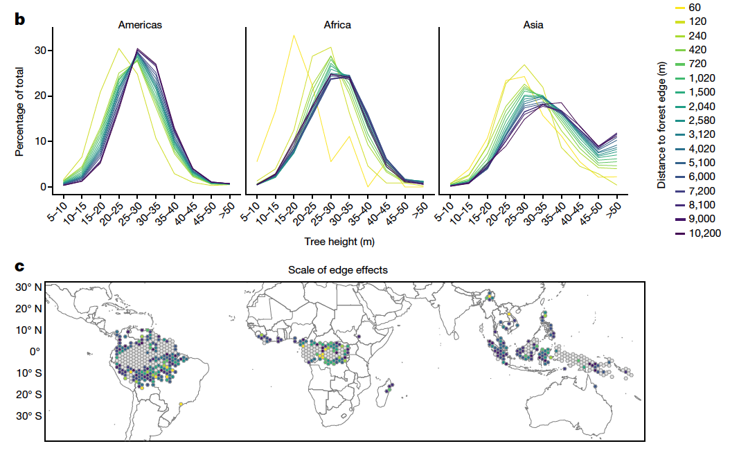 Tropical forest degradation due to ‘edge effects’ is 200% higher than ...