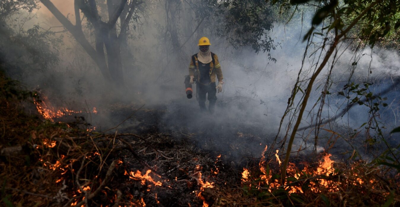 Climate change made the ‘supercharged’ 2024 Pantanal wildfires 40% more ...