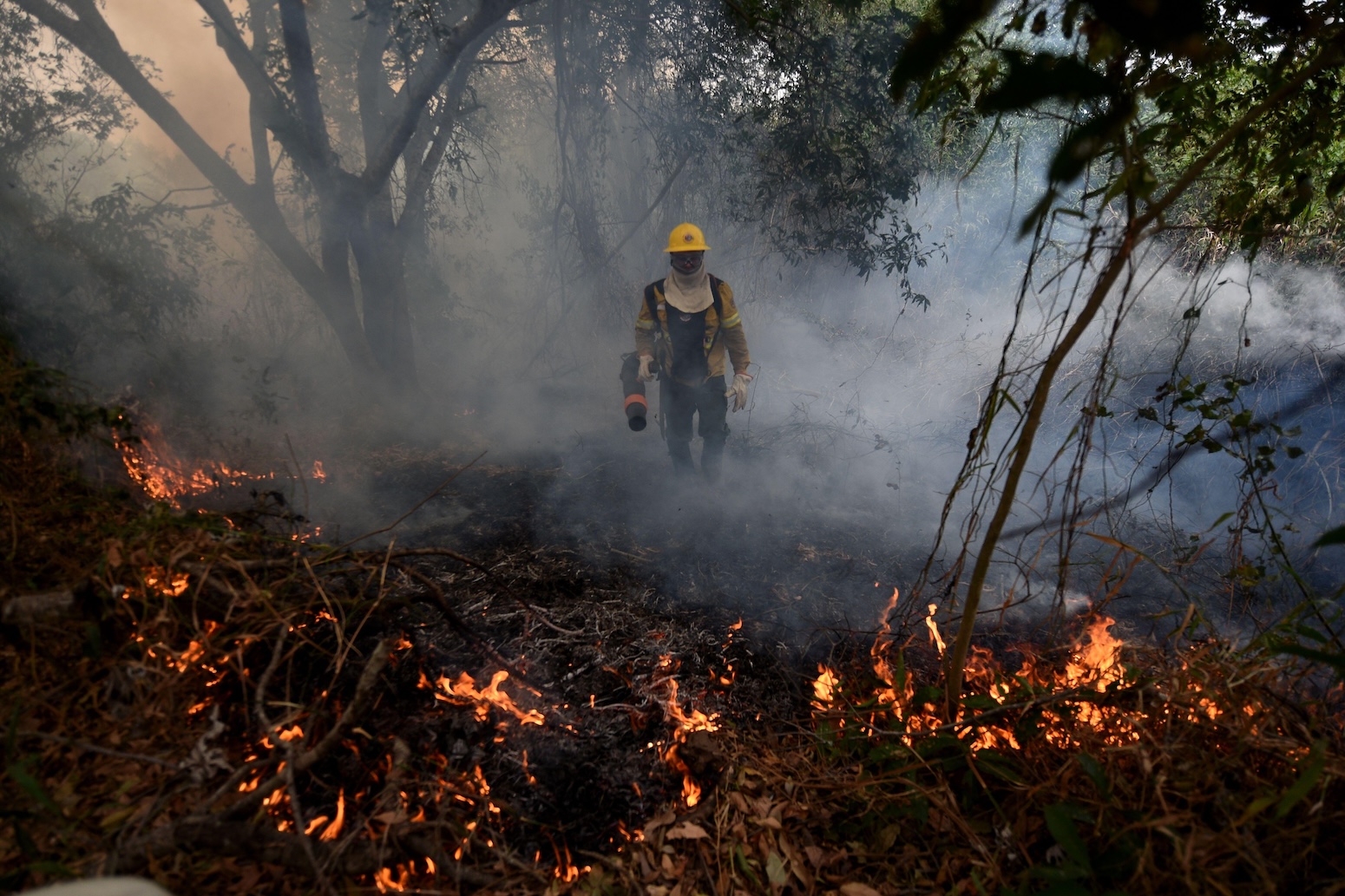 Climate change made the ‘supercharged’ 2024 Pantanal wildfires 40% more ...