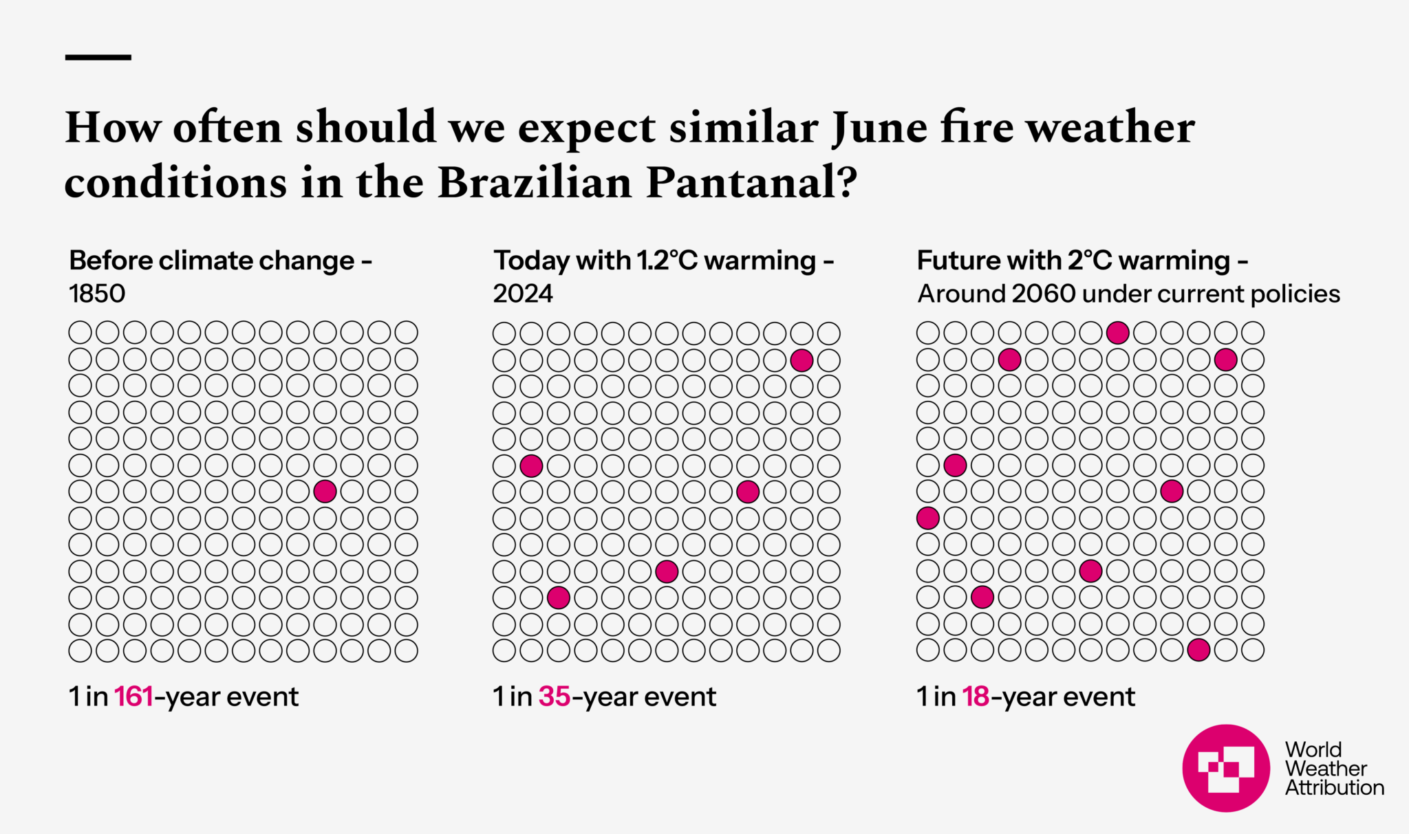 Climate change made the ‘supercharged’ 2024 Pantanal wildfires 40% more ...