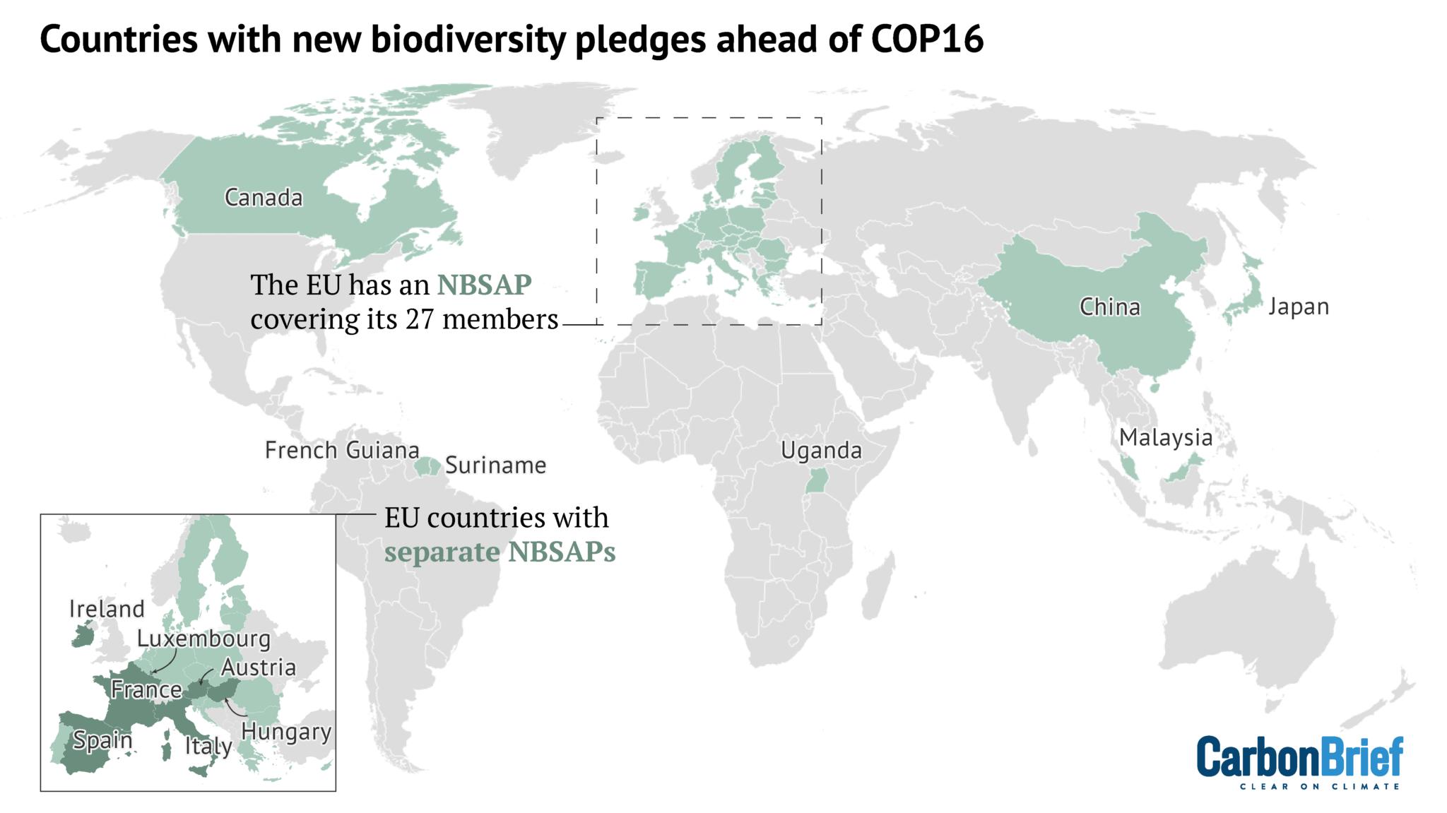 COP16: Tracking country pledges on tackling biodiversity loss - Carbon Brief