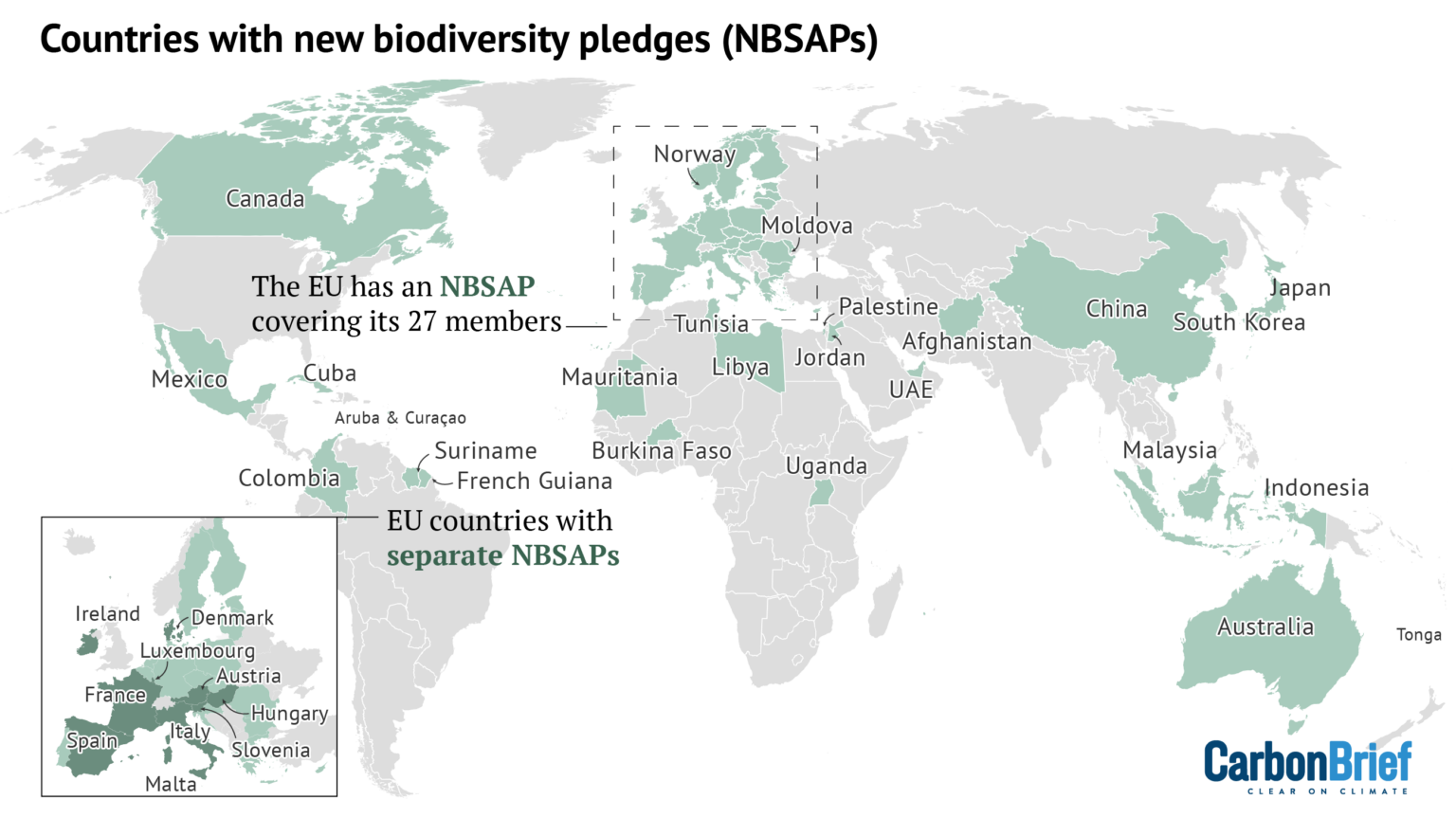 COP16: More than 85% of countries miss UN deadline to submit nature ...