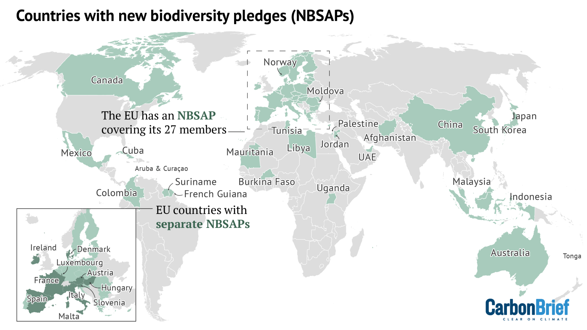 COP16: Tracking country pledges on tackling biodiversity loss - Carbon ...
