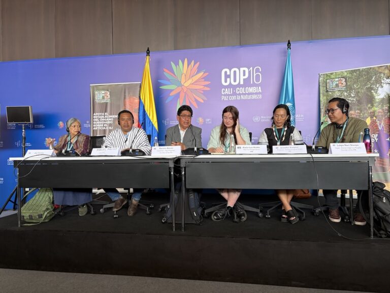 COP16: Key outcomes agreed at the UN biodiversity conference in Cali ...