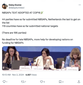 COP16: Key outcomes agreed at the UN biodiversity conference in Cali ...