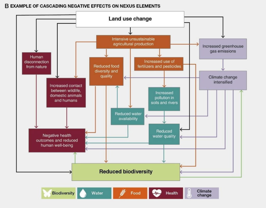 IPBES nexus report: Five takeaways for biodiversity, food, water, health and climate - Carbon Brief