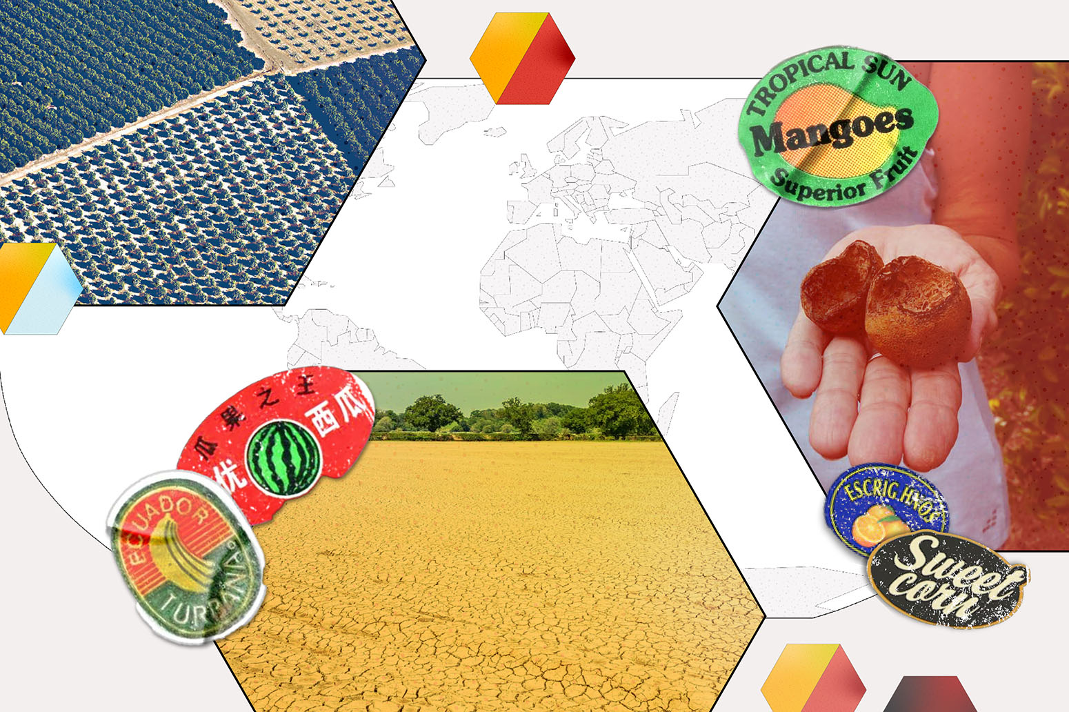 Half of global croplands could see a drop in suitable crops at 2C of ...