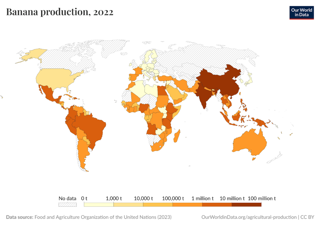 Major banana exporters could face ‘60% drop’ in growing area due to ...