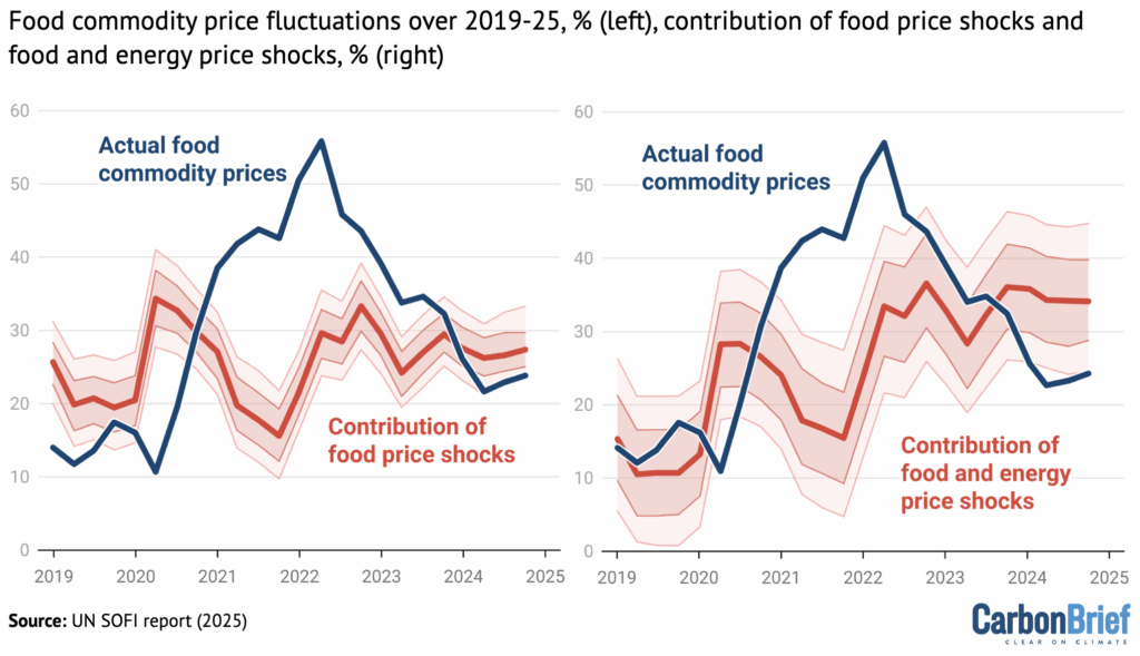 UN report: Five charts explaining the rise of global food insecurity ...